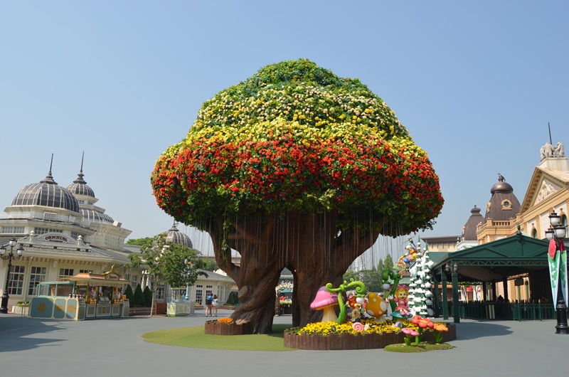 PACKAGE KOREA | Everland Private Tour